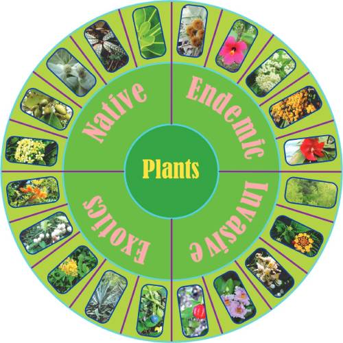 Biological Diversity – Le Morne Heritage Trust Fund
